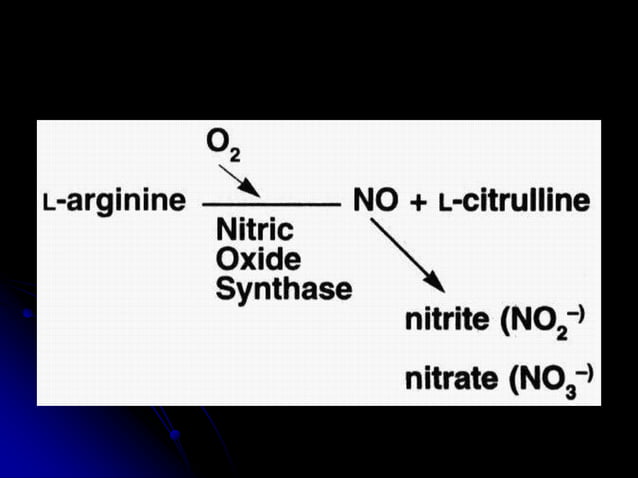 Inhaled Nitric Oxide in Acute Respiratory Distress Syndrome | PPSX ...