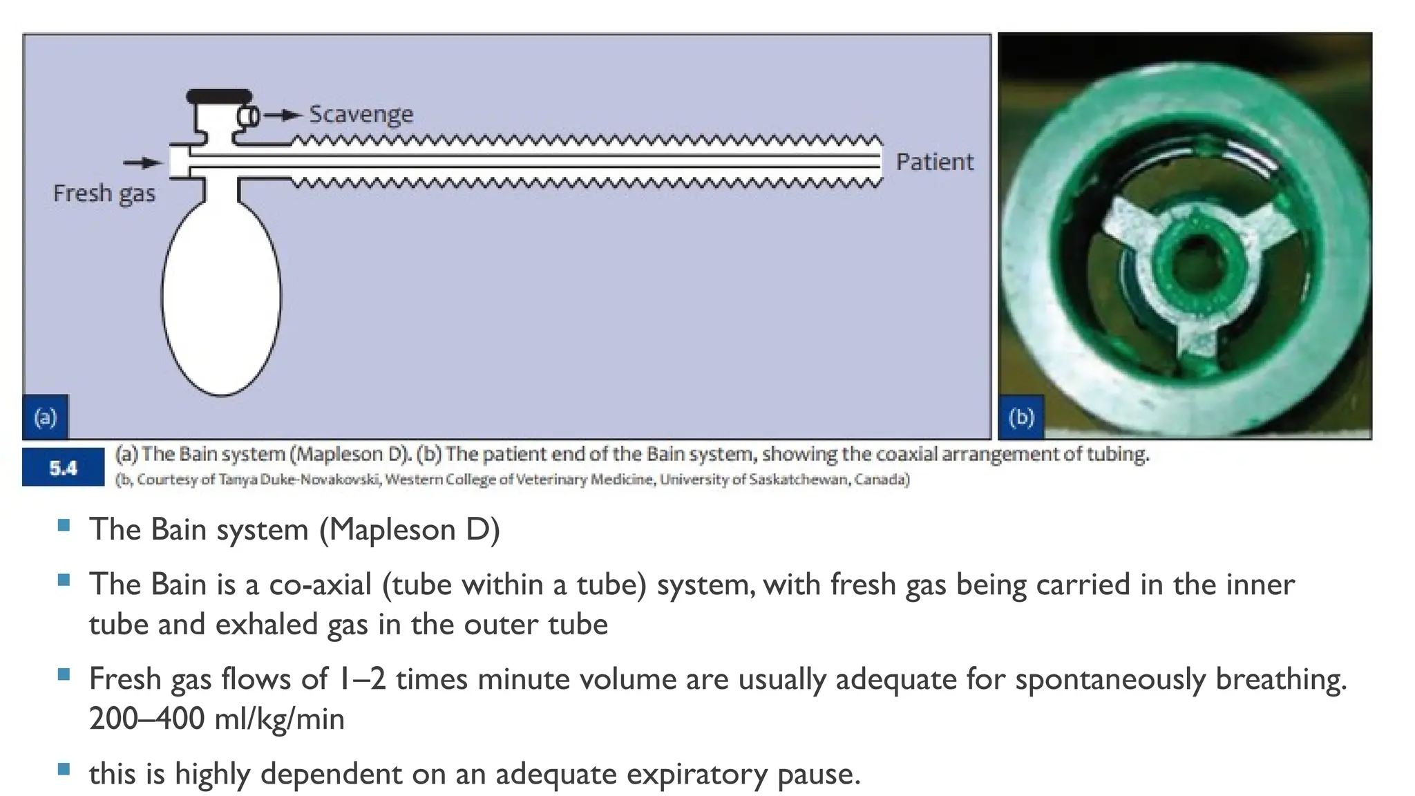Anaesthetic Machines and Breathing Systems .pptx