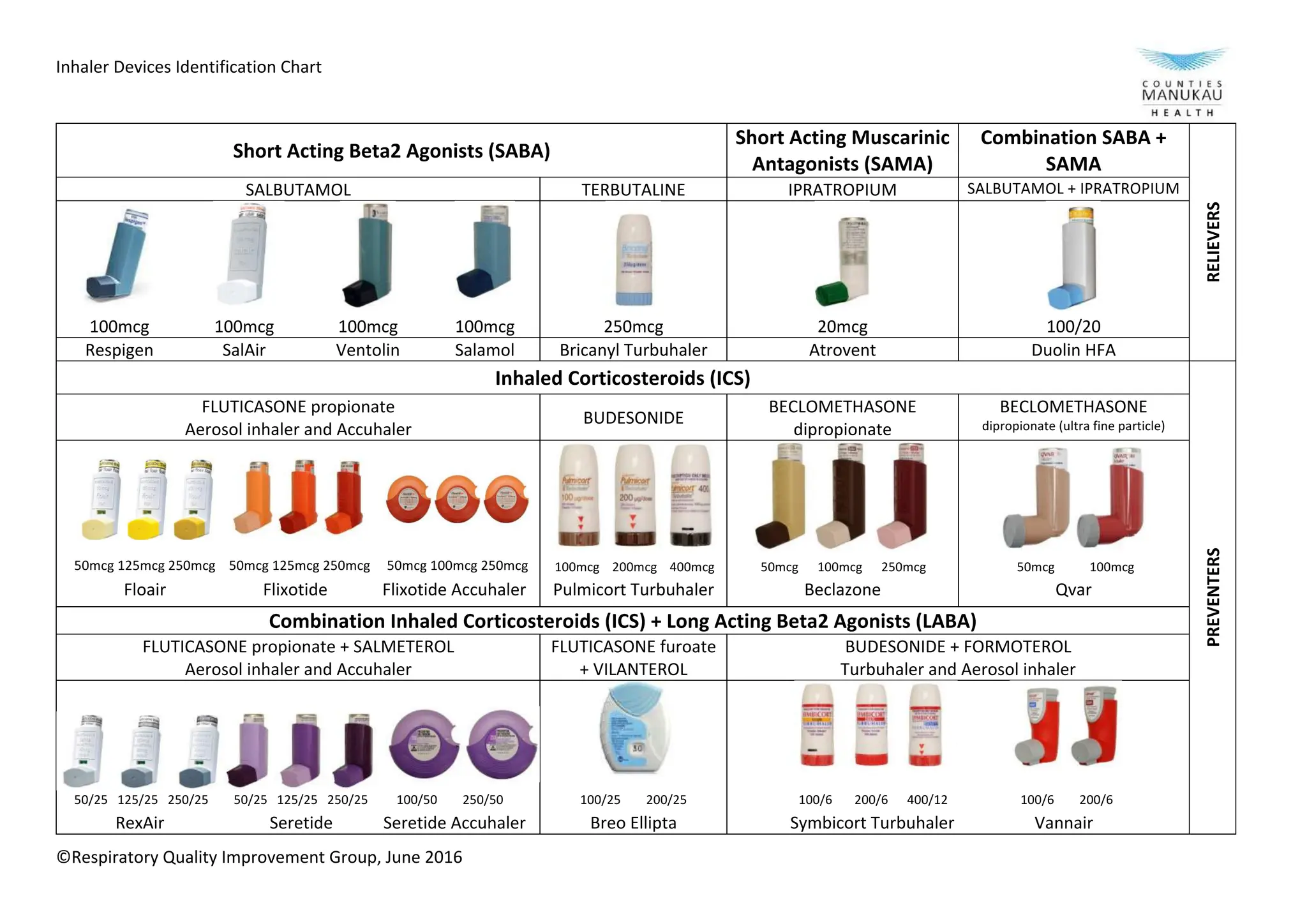 Common Inhaler Types Using In Hospital Pdf