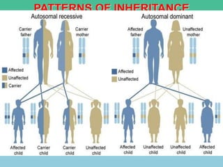 Basim Zwain Lectures- Inheritance | PPTX | Genetics | Science