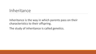 Inheritance | PPTX | Reproductive Health | Diseases and Conditions