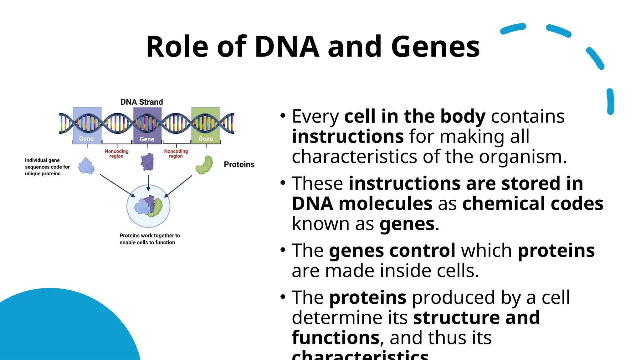 Inheritance of Class 10th Kpk Board By Naveed Ullah Marwart | PPTX