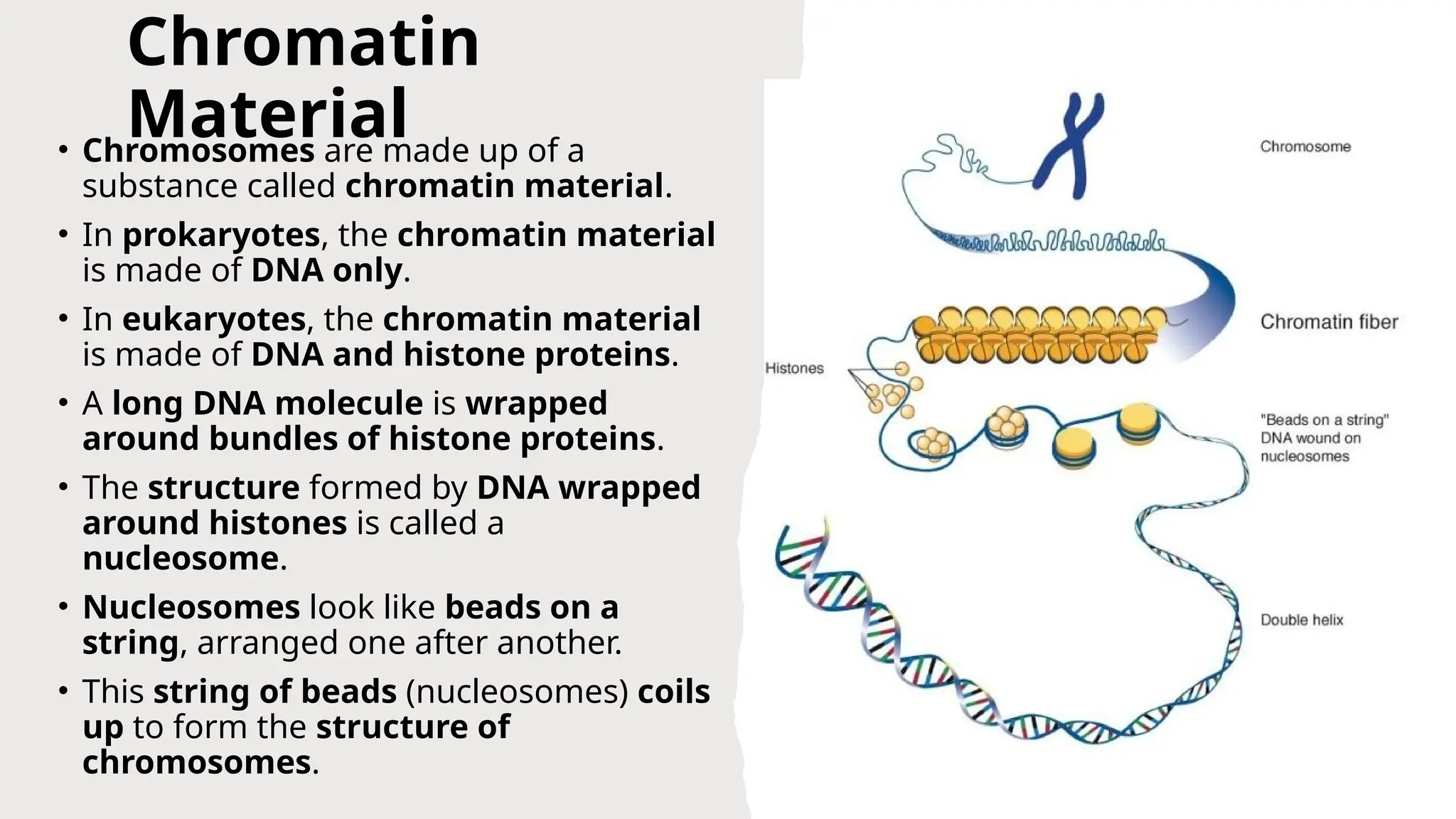 Inheritance of Class 10th Kpk Board By Naveed Ullah Marwart | PPTX