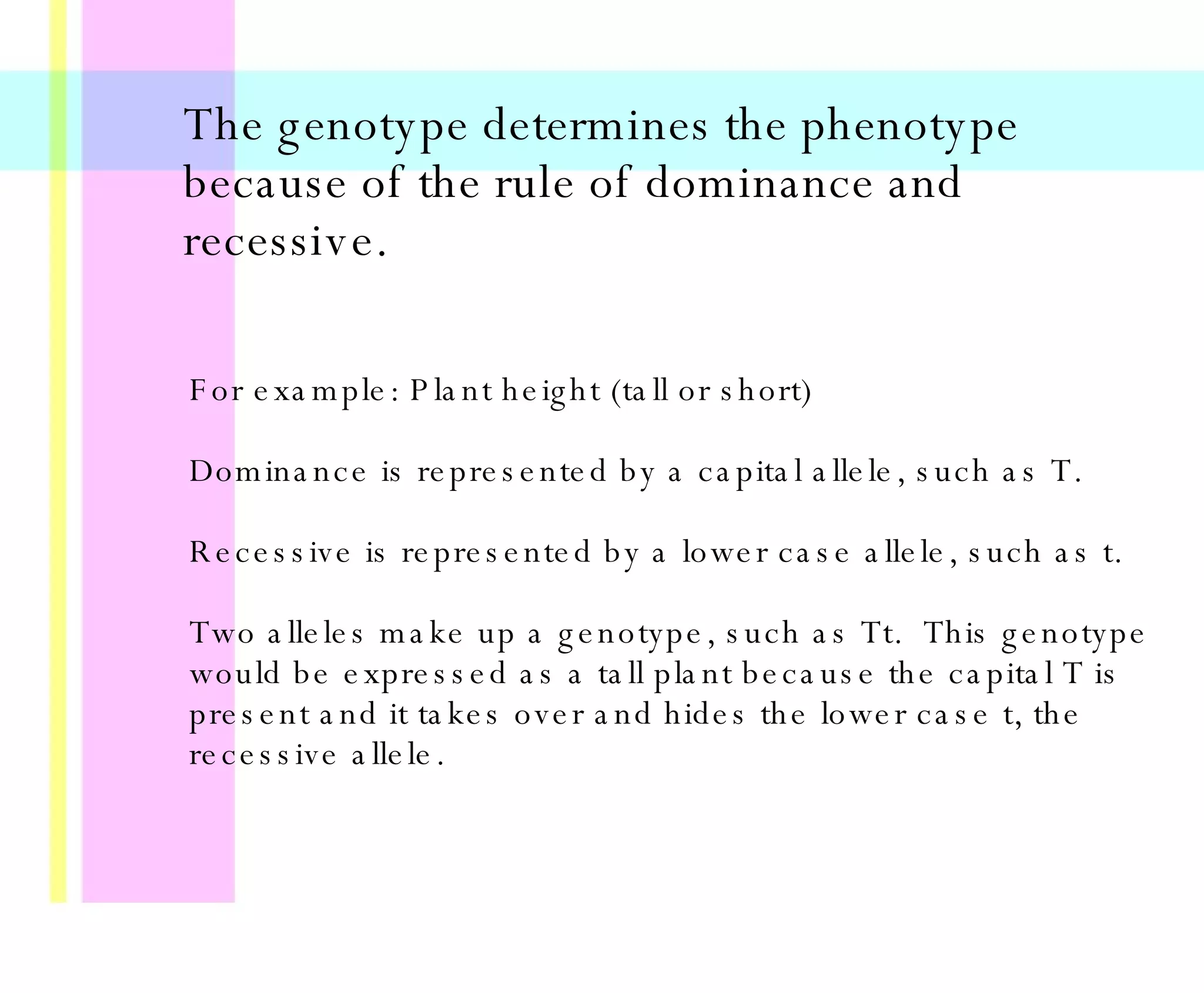 Inheritance Study Guide | PPT