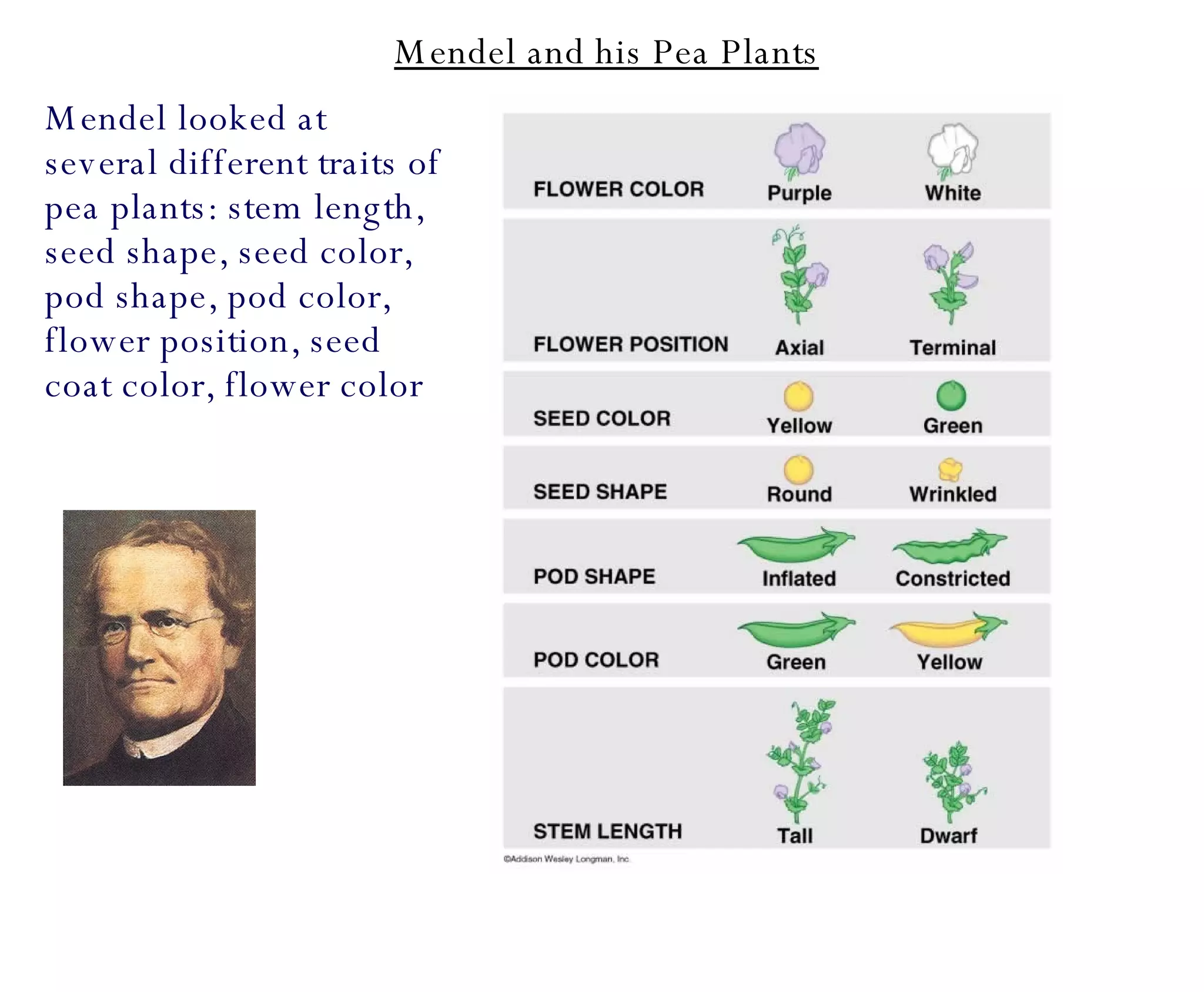 Inheritance Study Guide | PPT