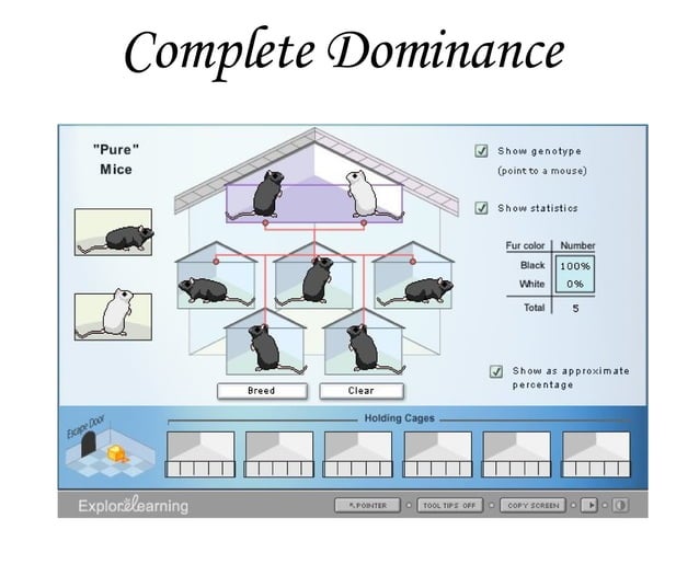 Inheritance Study Guide | PPT