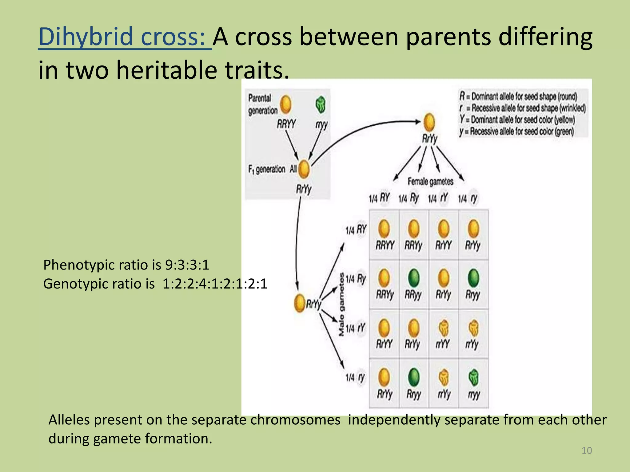Inheritance and Variation | PDF | Genetics | Science