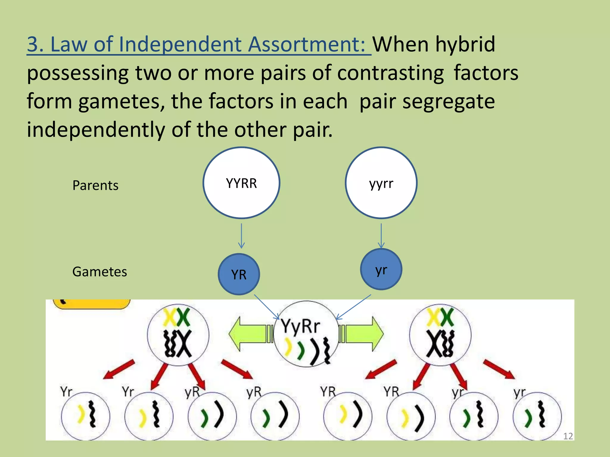 Inheritance and Variation | PDF | Genetics | Science