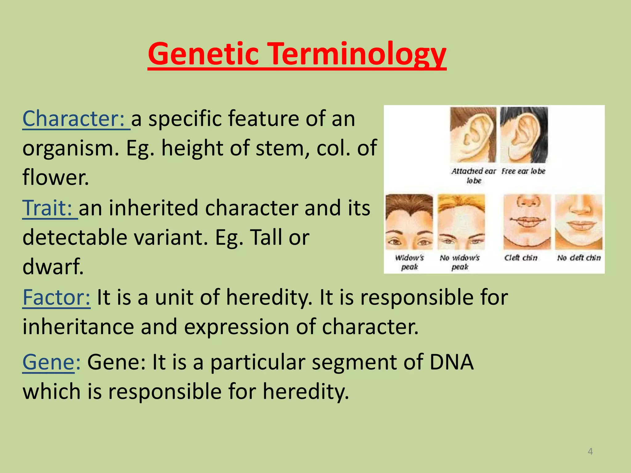 Inheritance and Variation | PDF | Genetics | Science
