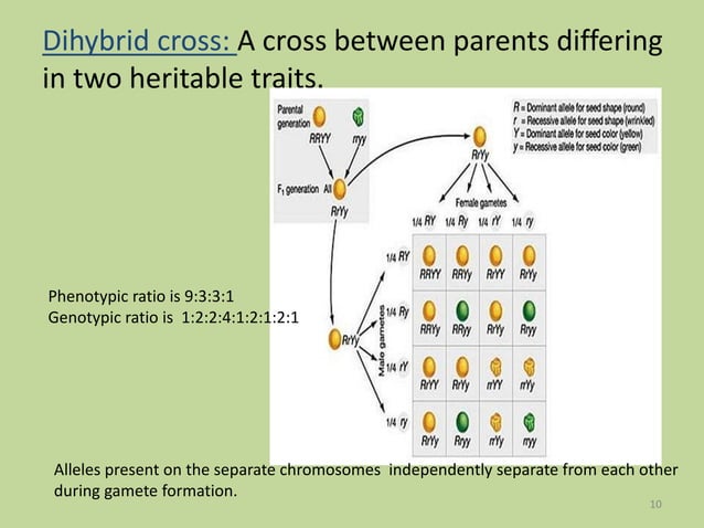 Inheritance and Variation | PDF | Genetics | Science
