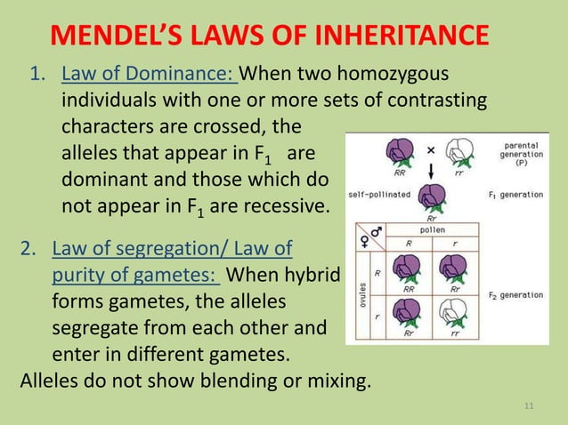Inheritance and Variation | PDF | Genetics | Science
