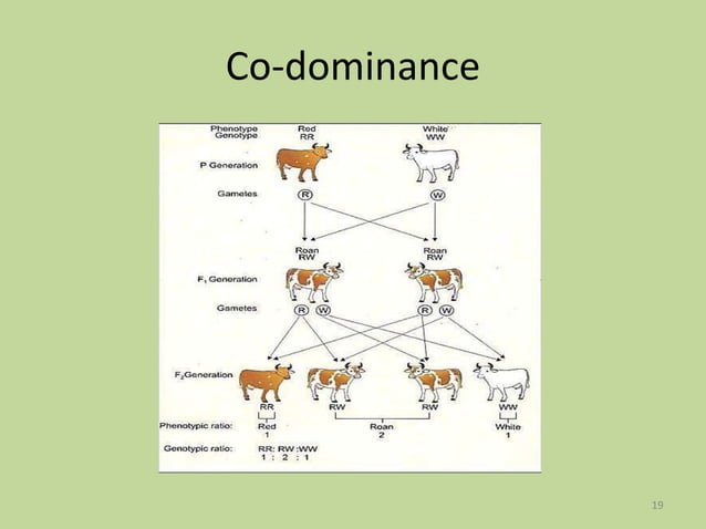 Inheritance and Variation | PDF | Genetics | Science