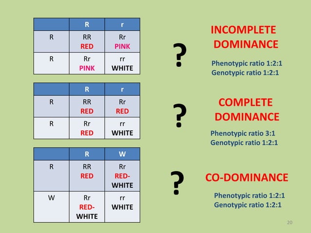 Inheritance and Variation | PDF | Genetics | Science