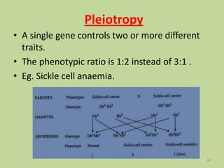 Inheritance and Variation | PDF