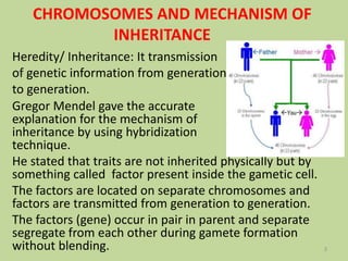 Inheritance and Variation | PDF