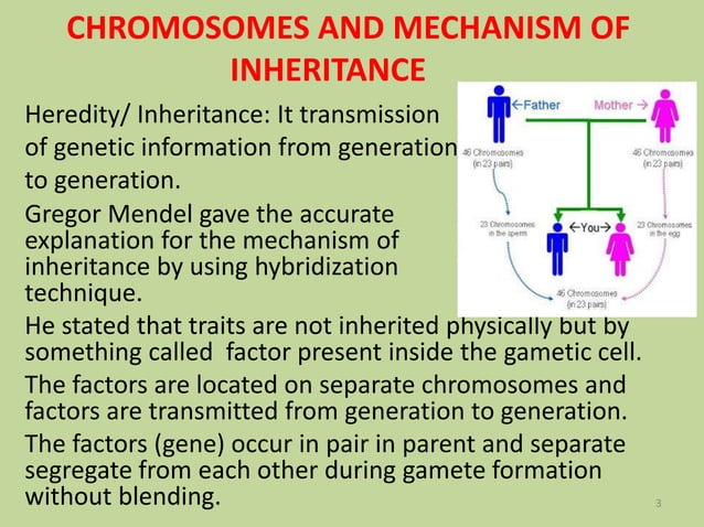 Inheritance and Variation | PDF | Genetics | Science