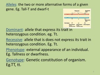 Inheritance and Variation | PDF