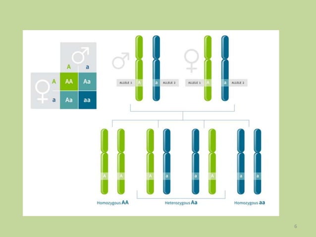 Inheritance and Variation | PDF | Genetics | Science