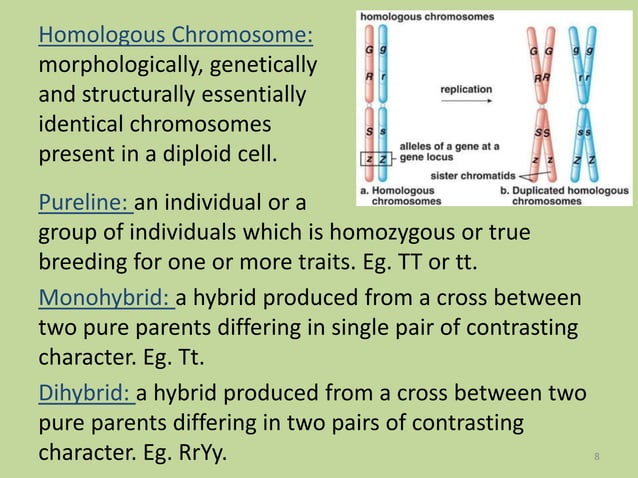 Inheritance and Variation | PDF | Genetics | Science