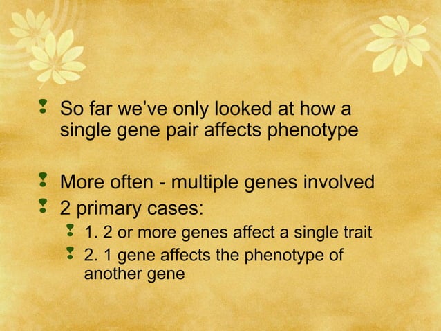 AP Biology Inheritance and chromosomal mutations | PPT