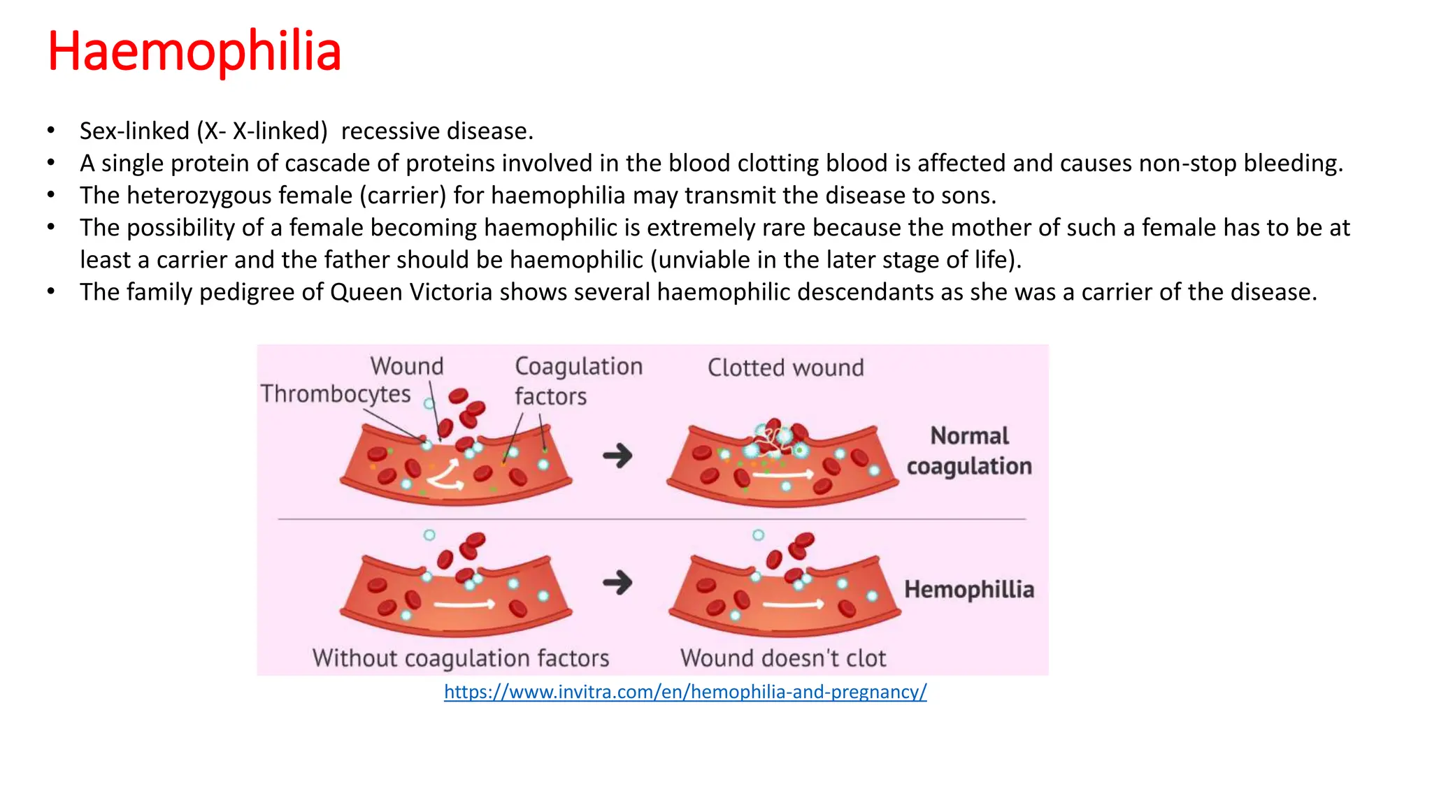 Principles of Inheritance part II Class XII Biology .pptx