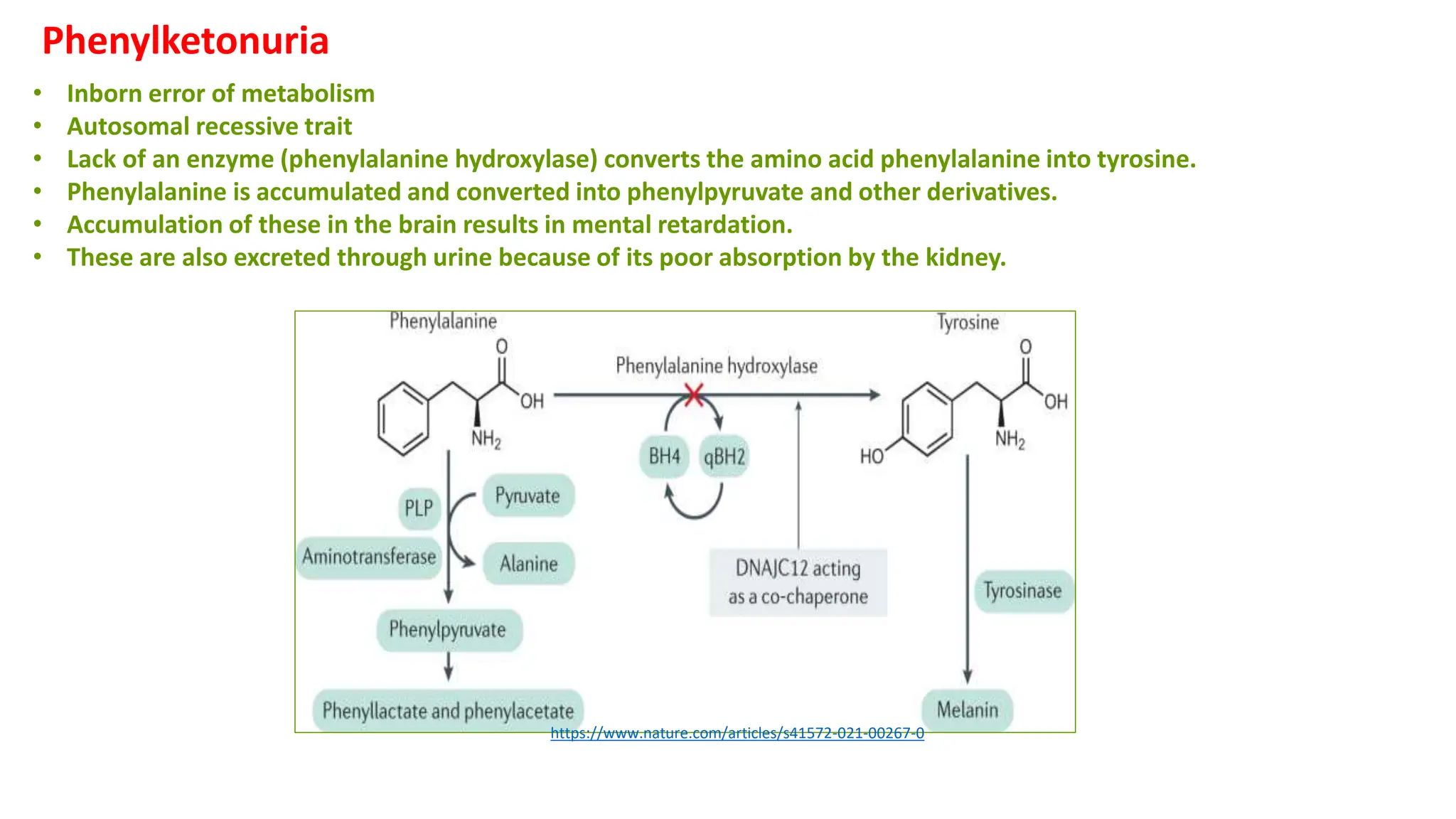 Principles of Inheritance part II Class XII Biology .pptx