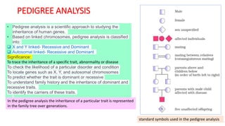 Principles of Inheritance part II Class XII Biology .pptx