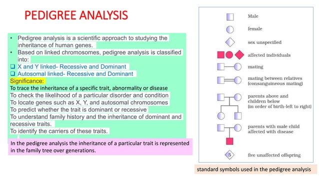 Principles of Inheritance part II Class XII Biology .pptx