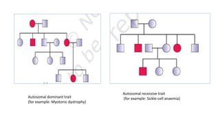 Principles of Inheritance part II Class XII Biology .pptx