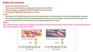 Principles of Inheritance part II Class XII Biology .pptx