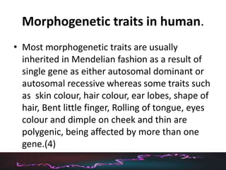 INHERITANCE PATTERN AND ASSOCIATION STUDIES OF SOME HUMAN.pptx