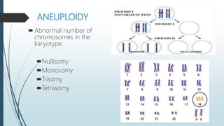 Inheritance patterns | PPT