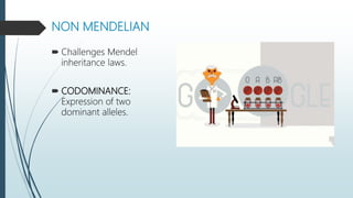 Inheritance patterns | PPT