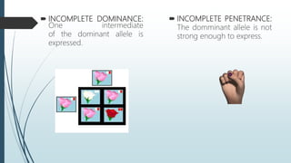Inheritance patterns | PPT