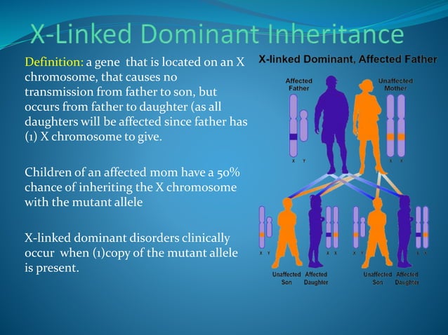 inheritanceppt1230-conversion-gate02.pdf