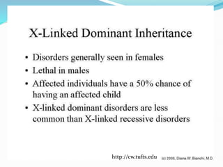 inheritanceppt1230-conversion-gate02.pdf