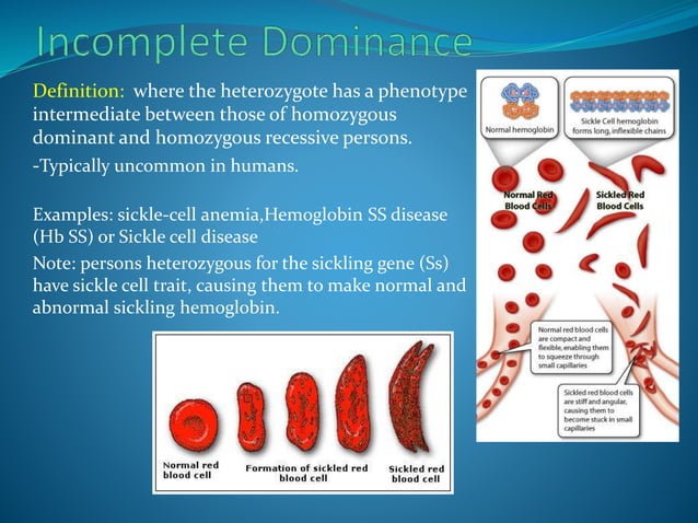 inheritanceppt1230-conversion-gate02.pdf