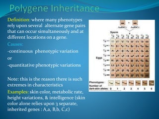 inheritanceppt1230-conversion-gate02.pdf