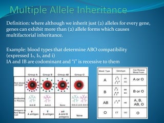 inheritanceppt1230-conversion-gate02.pdf