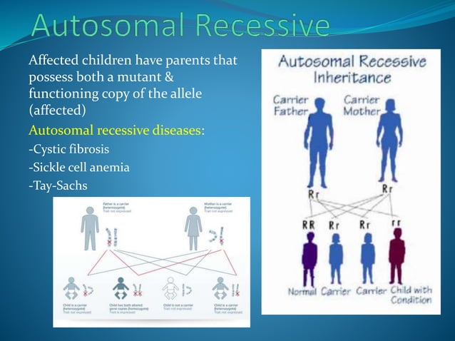 inheritanceppt1230-conversion-gate02.pdf
