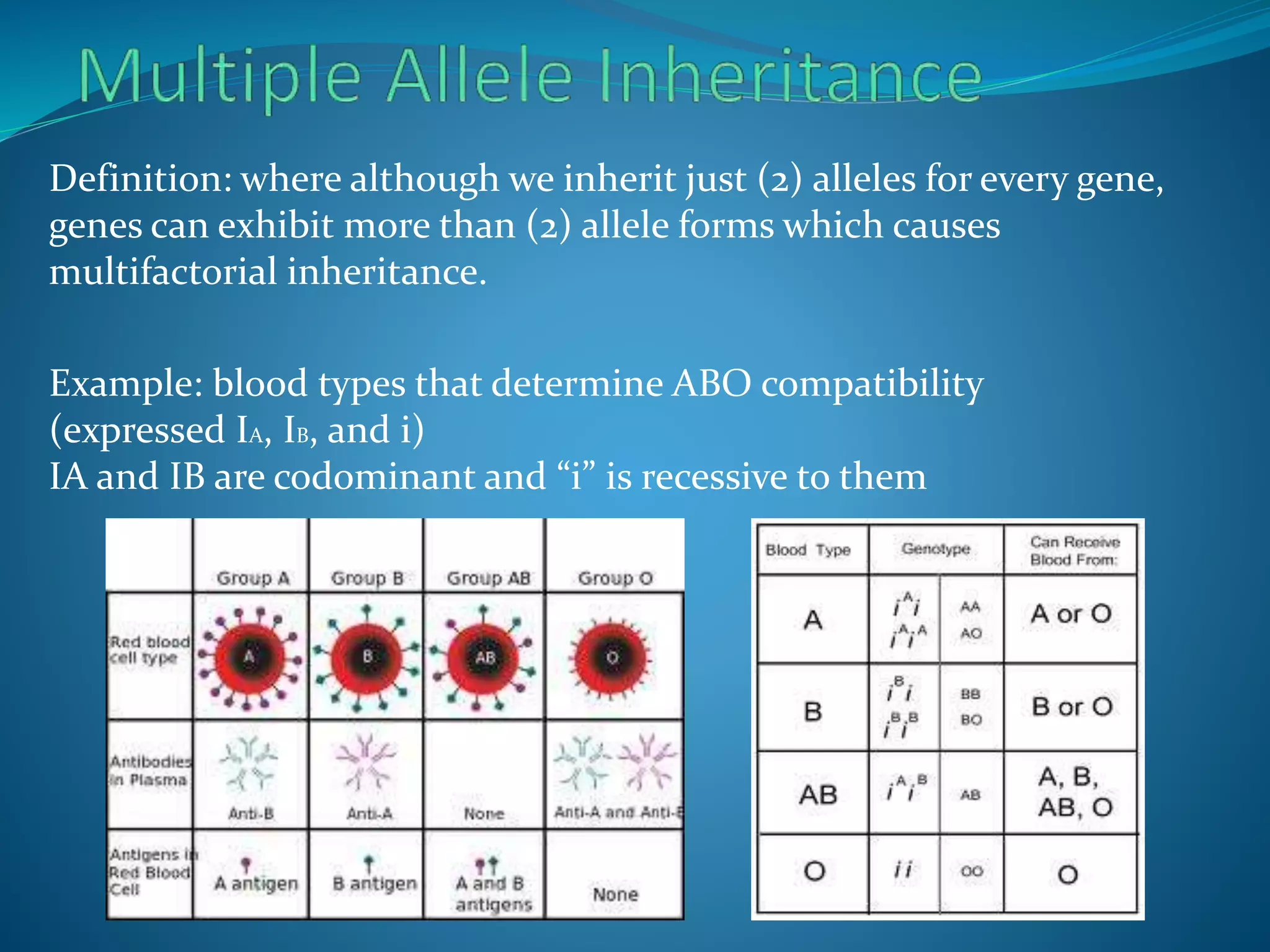 Types of Inheritance | PPTX