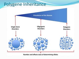 Types of Inheritance | PPTX