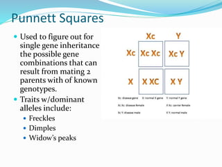 Types of Inheritance | PPTX