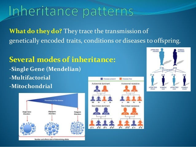 Types of Inheritance