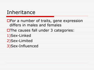 InheritancePPT.ppt