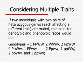 InheritancePPT.ppt