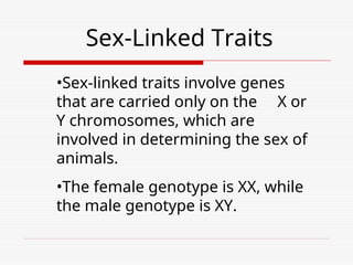 Inheritance of characteristics and traits.ppt