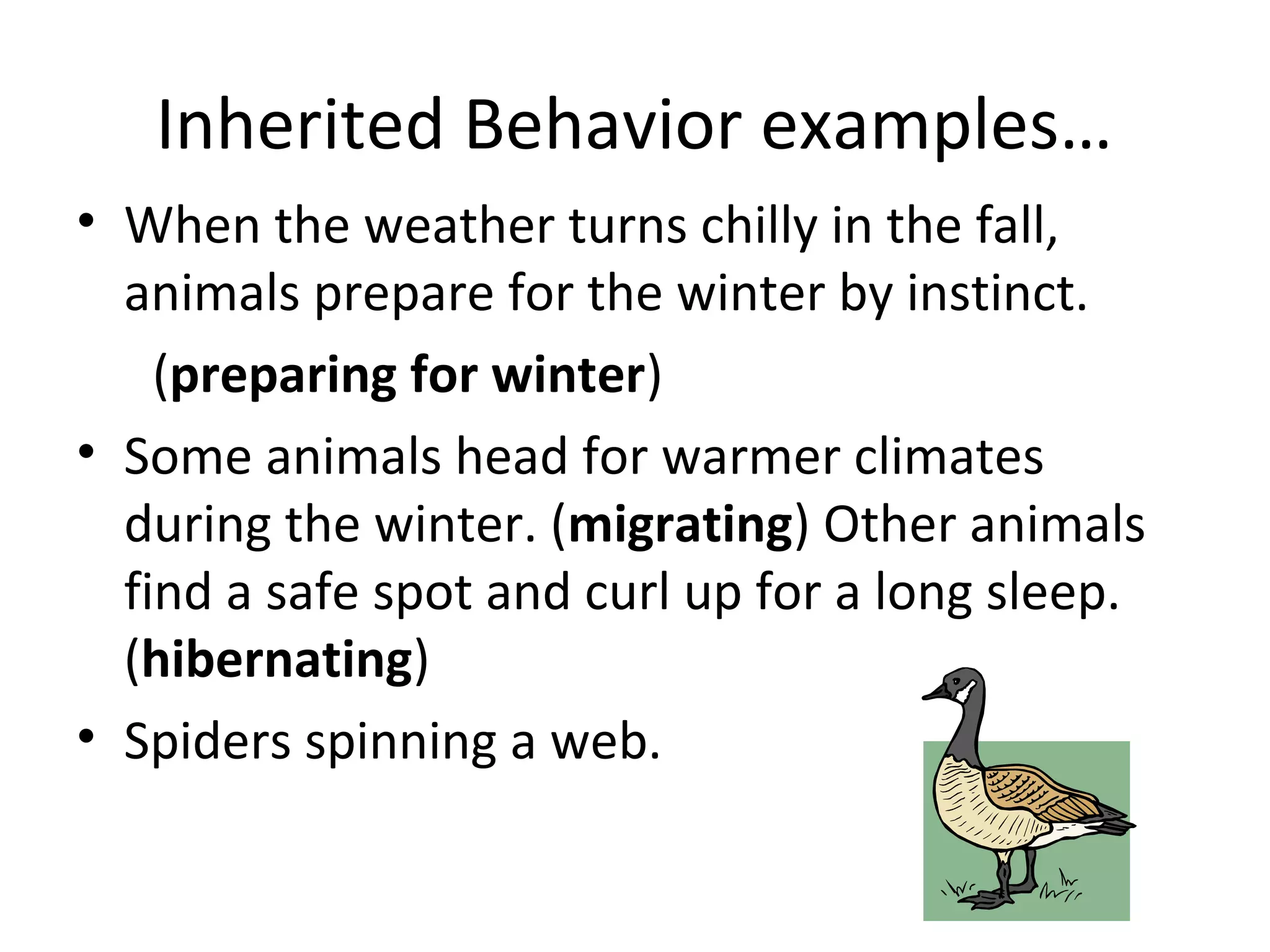 Inherited traits-and-learned-behaviors | PPT