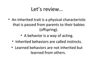 Inherited traits-and-learned-behaviors | PPT