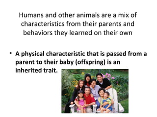 Inherited traits-and-learned-behaviors | PPT